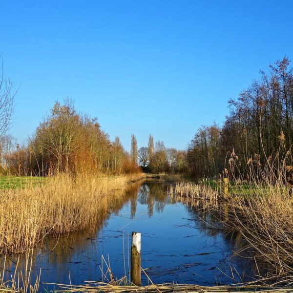 Lietuvos pašto tarifai ir kainos | Tarifas.lt